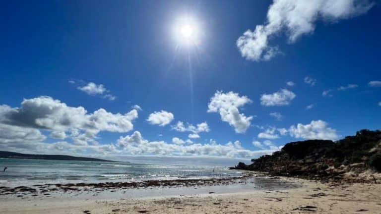 Find the 14 best Victorian beaches this year!