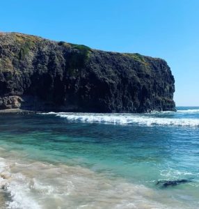 23 awesome things to do on the Mornington Peninsula this year - Explore ...