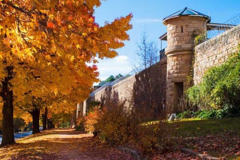 Autumn in Victoria: 13 places to experience the magnificent colours ...