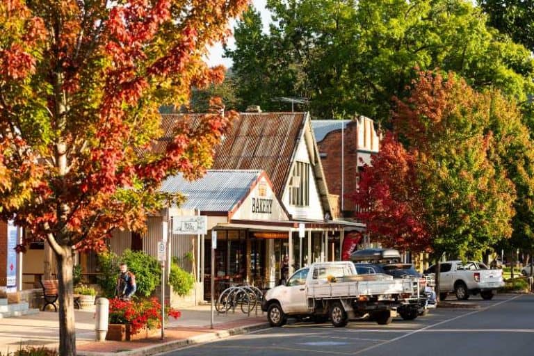 Autumn in Victoria: 13 places to experience the magnificent colours ...