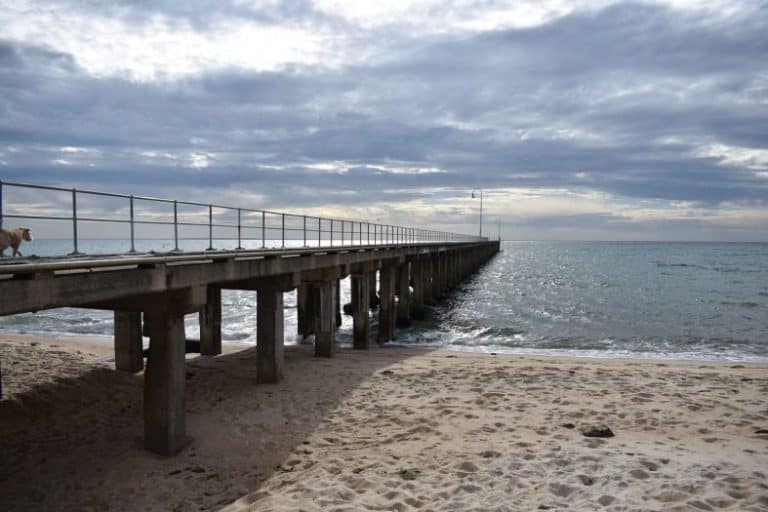 Find the 14 best Victorian beaches this year!