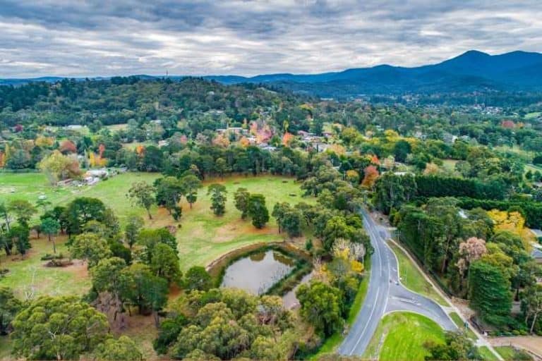 Autumn in Victoria: 13 places to experience the magnificent colours ...