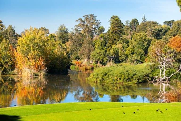 Autumn in Victoria: 13 places to experience the magnificent colours ...